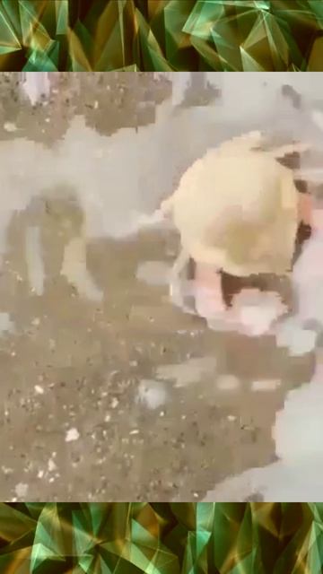 Мой сыночек - никому не отдам