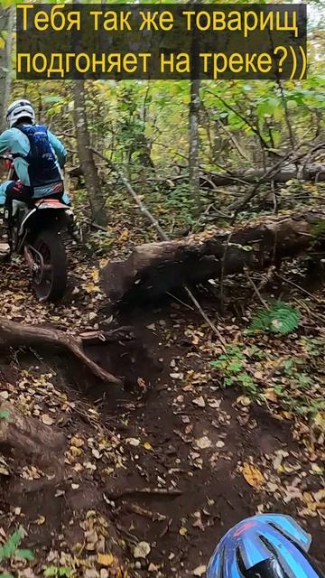 Тебя так же товарищ тренирует на треке?)#ббмото#бабьинскийбурелом#гарифовринат