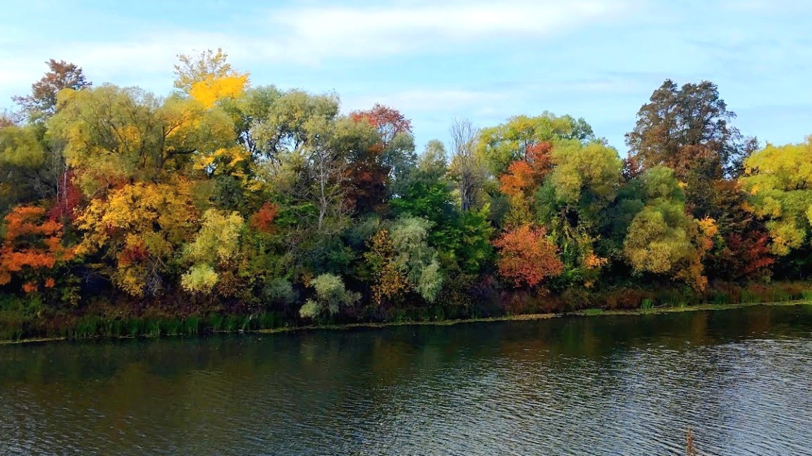 КРАСКИ ОСЕНИ НА ПРОРВЕ