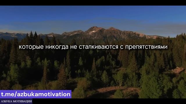 Действуй, будто всё всегда получается. Джо Диспенза