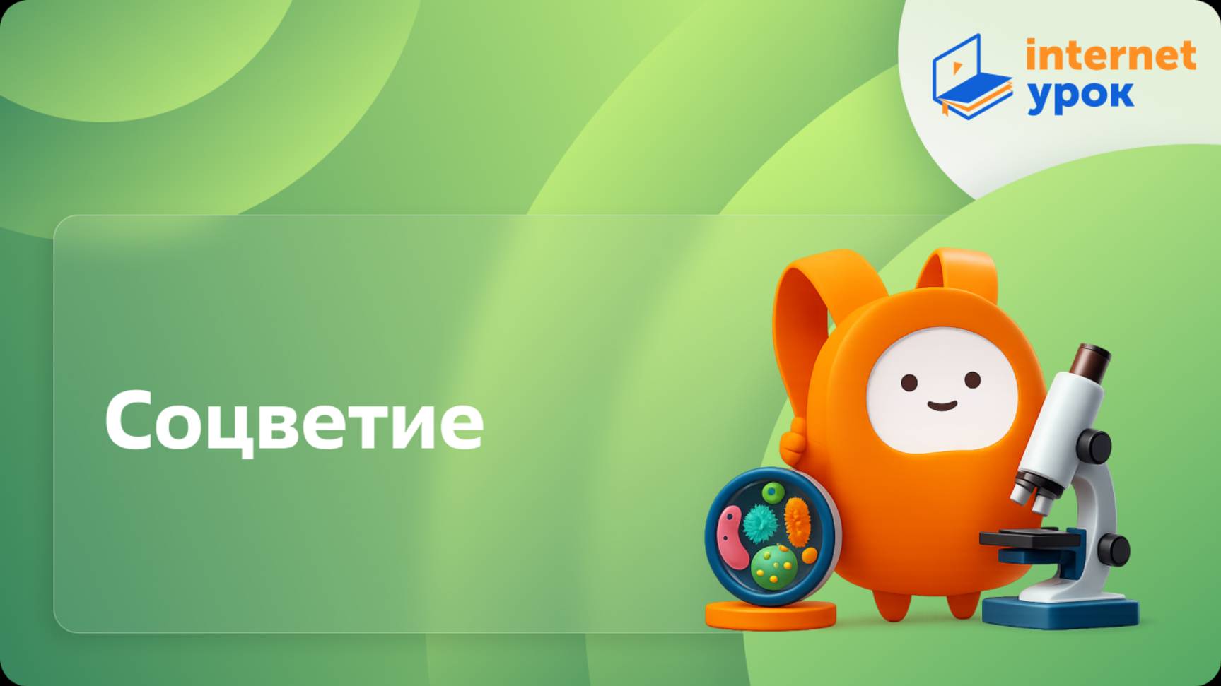Биология 6 класс. Соцветие