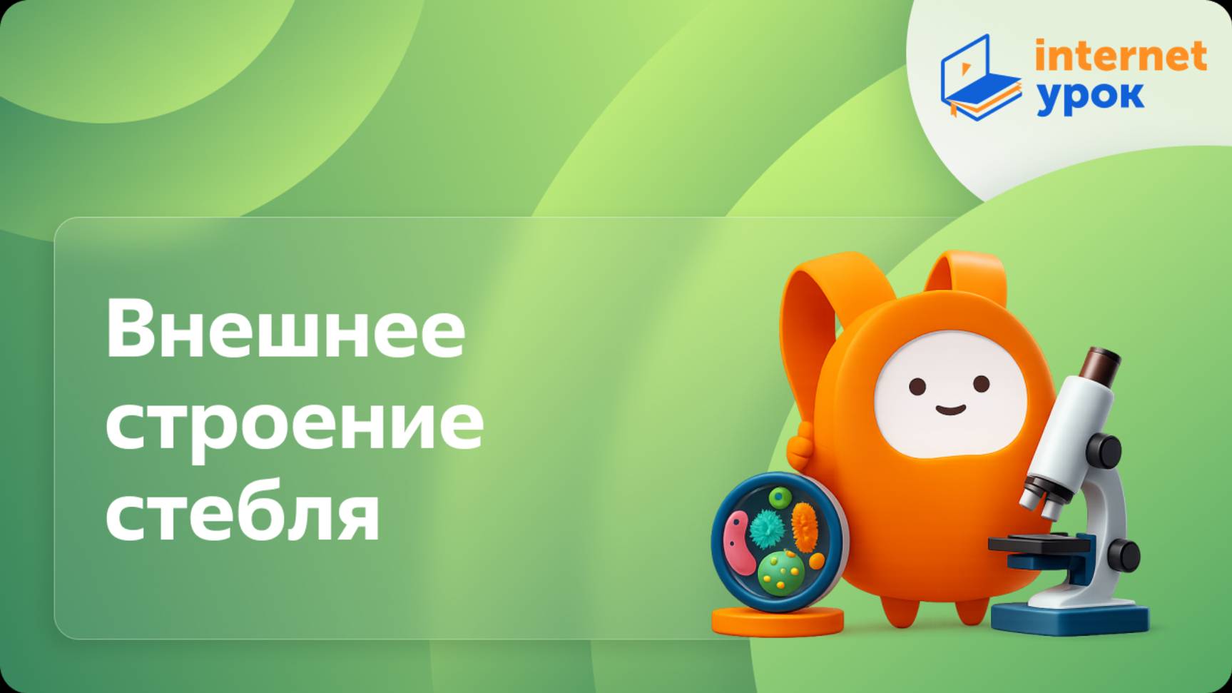 Биология 6 класс. Внешнее строение стебля