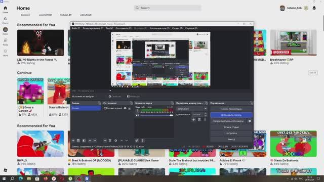 играю в укради бреинрот
