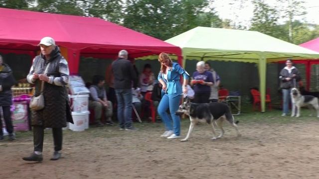 МВ Прима
