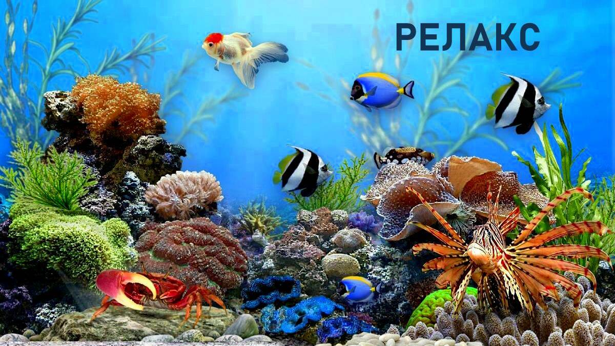 Аквариум Рыбки Музыка Для Души - 60 минут релаксации.