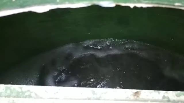 Септик вектор сток в Коломне.