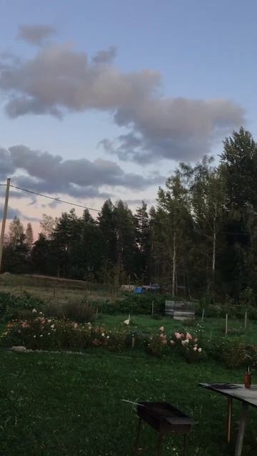 Ленобласть. Хвойное. 22.09.2025. Дача. Закат солнца