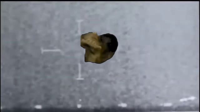 [RYTP] Шакирные гипотезы. Тайна буханки