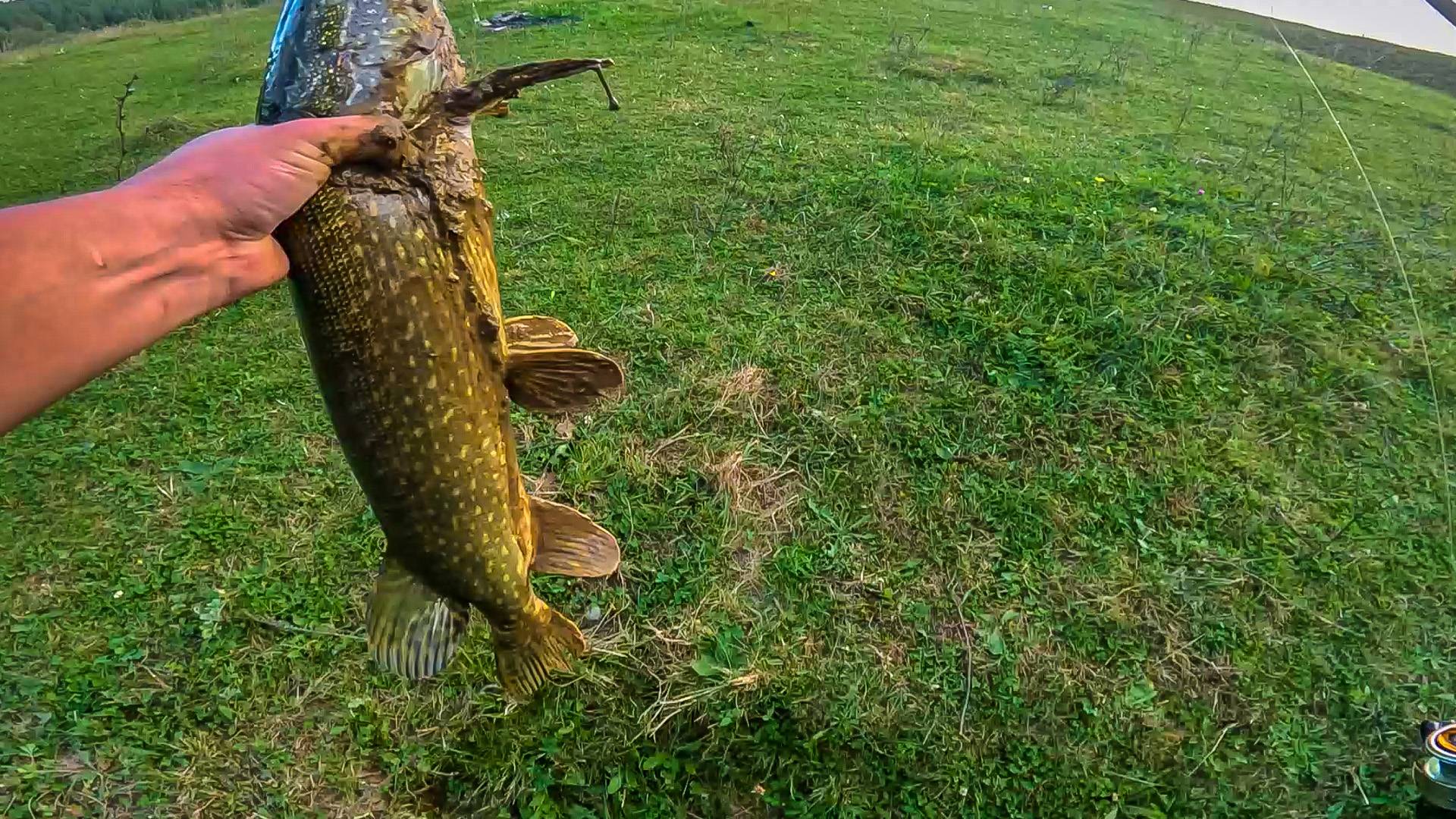 Щука на блесну в сентябре на озере РТ Балтасинский район деревня Верхний Шубан