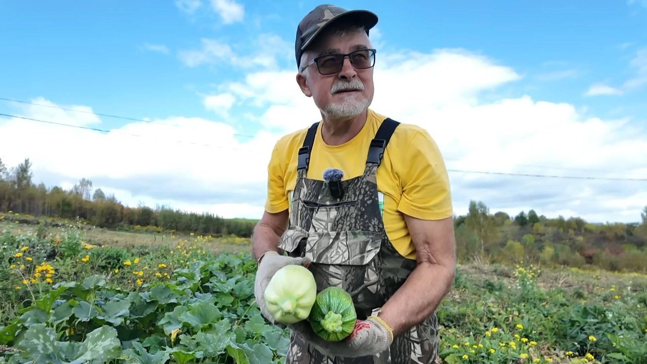 Вперёд, товарищи! На дачу! Выпуск от 23.09.25