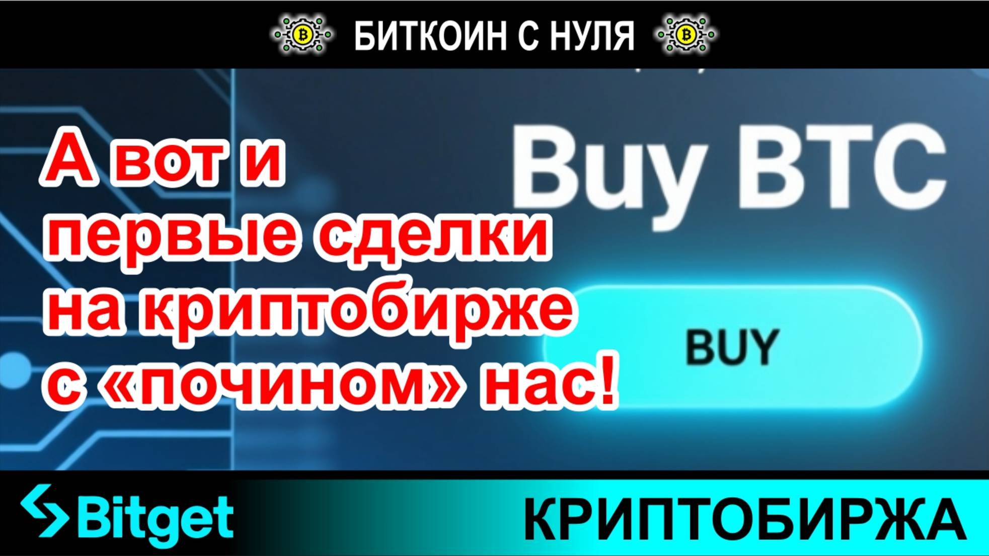 Bitget - крипто-биржа. Открываем первые сделки по Bitcoin и ETH. Изучаем прибыльность и убыточность