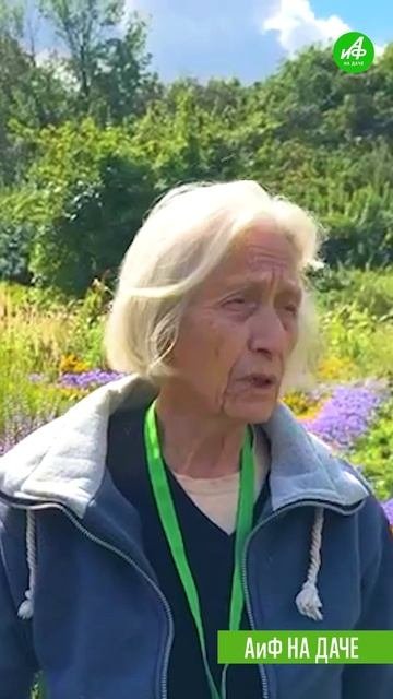 Красивые и неприхотливые! Какие цветы доживут до холодов?