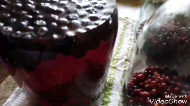 КОМПОТ из ЧЕРНОПЛОДНОЙ РЯБИНЫ и КРАСНОЙ ЧЕРЕМУХИ