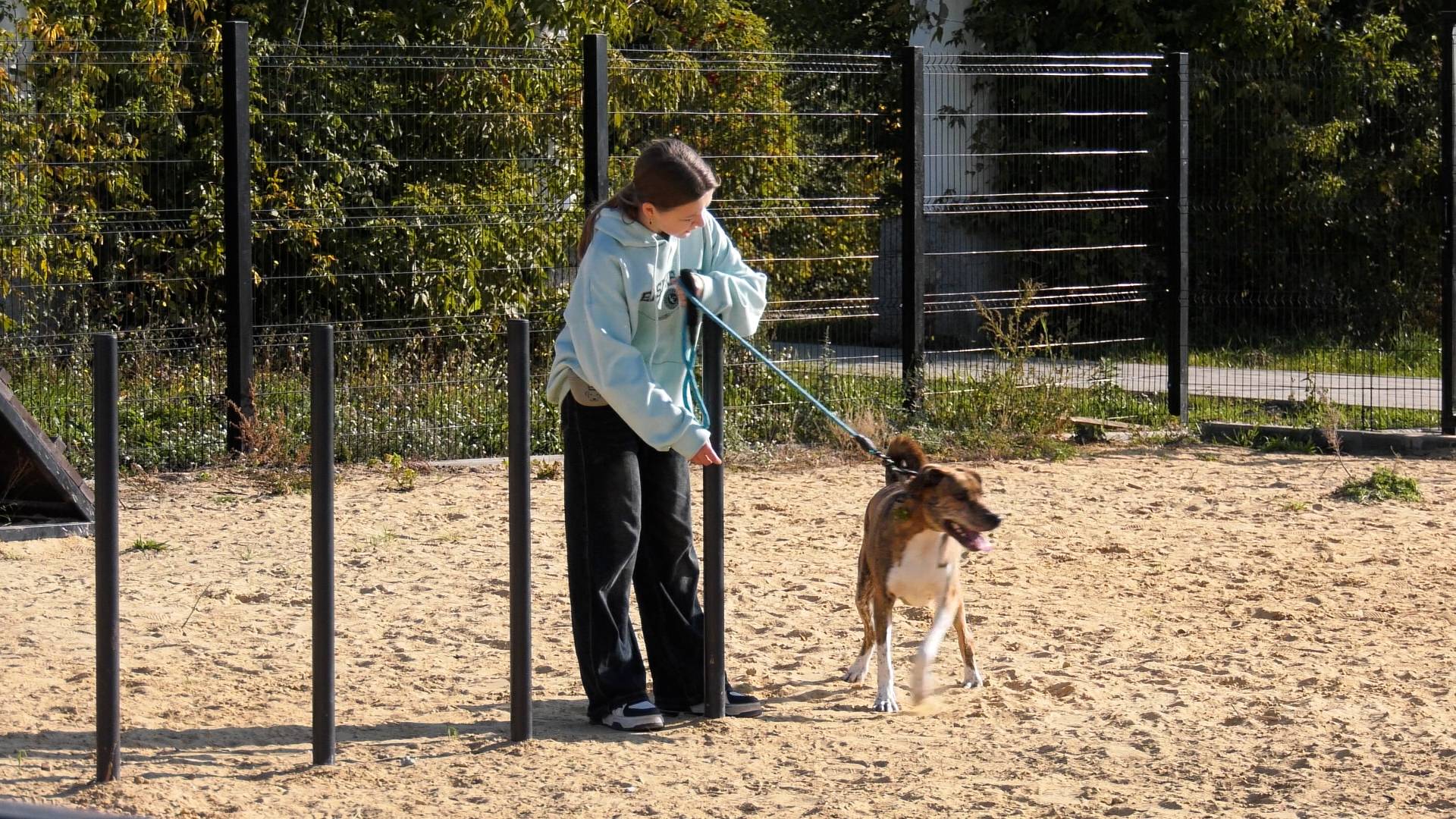 В Копейске появилась площадка для выгула собак
