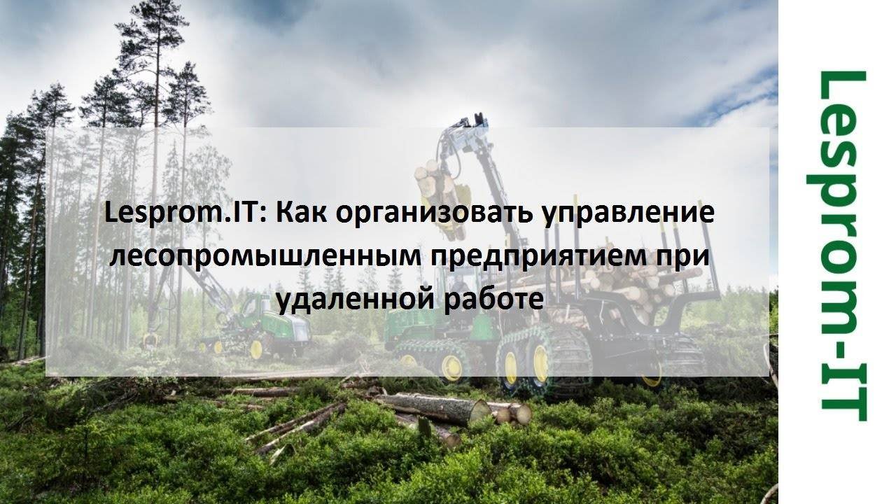 Как организовать управление лесопромышленным предприятием при удаленной работе