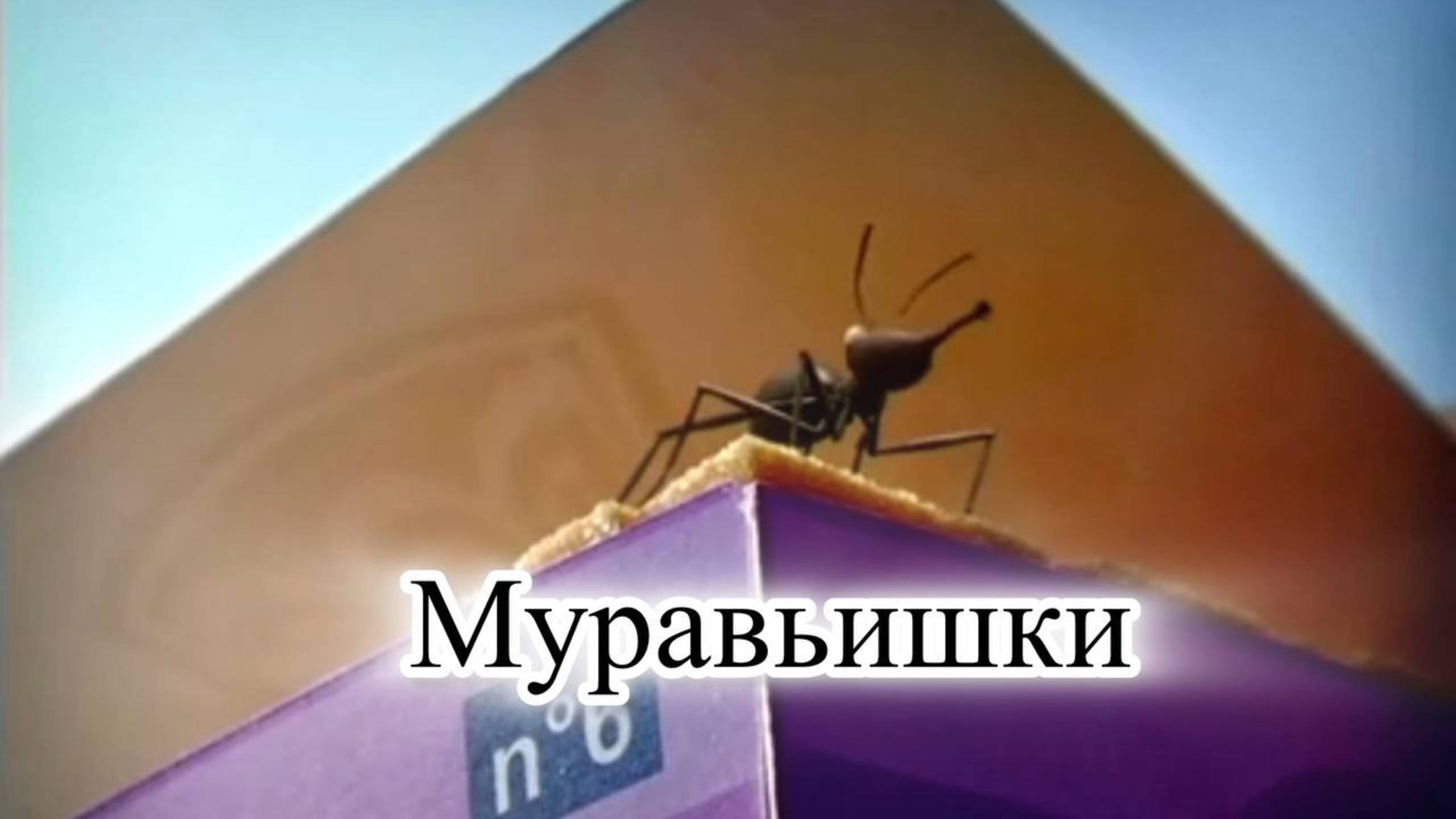 Мультик о Насекомых. Египетские пирамиды. 5 серия