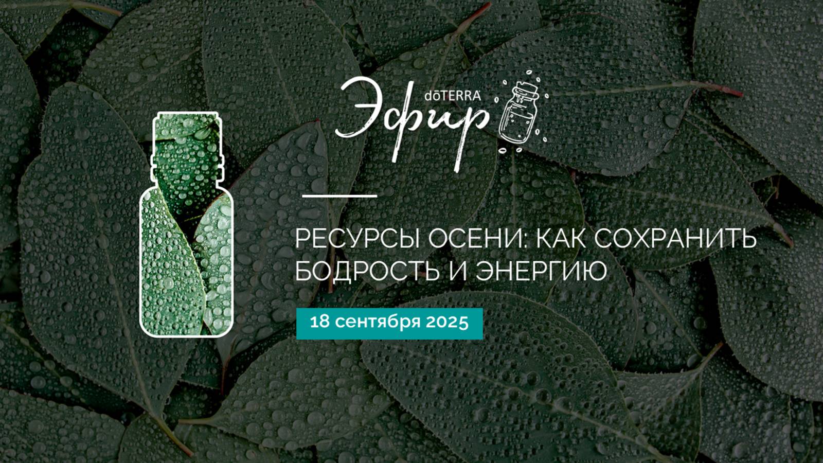 Ресурсы осени: как сохранить бодрость и энергию (18.09.2025)