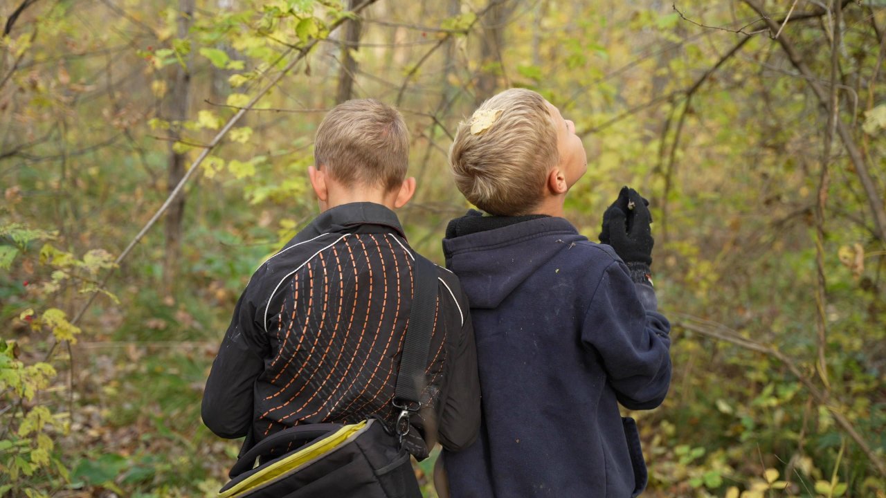 За золотом осени