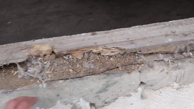 Контакт дерева с бетоном, как правильно сделать!