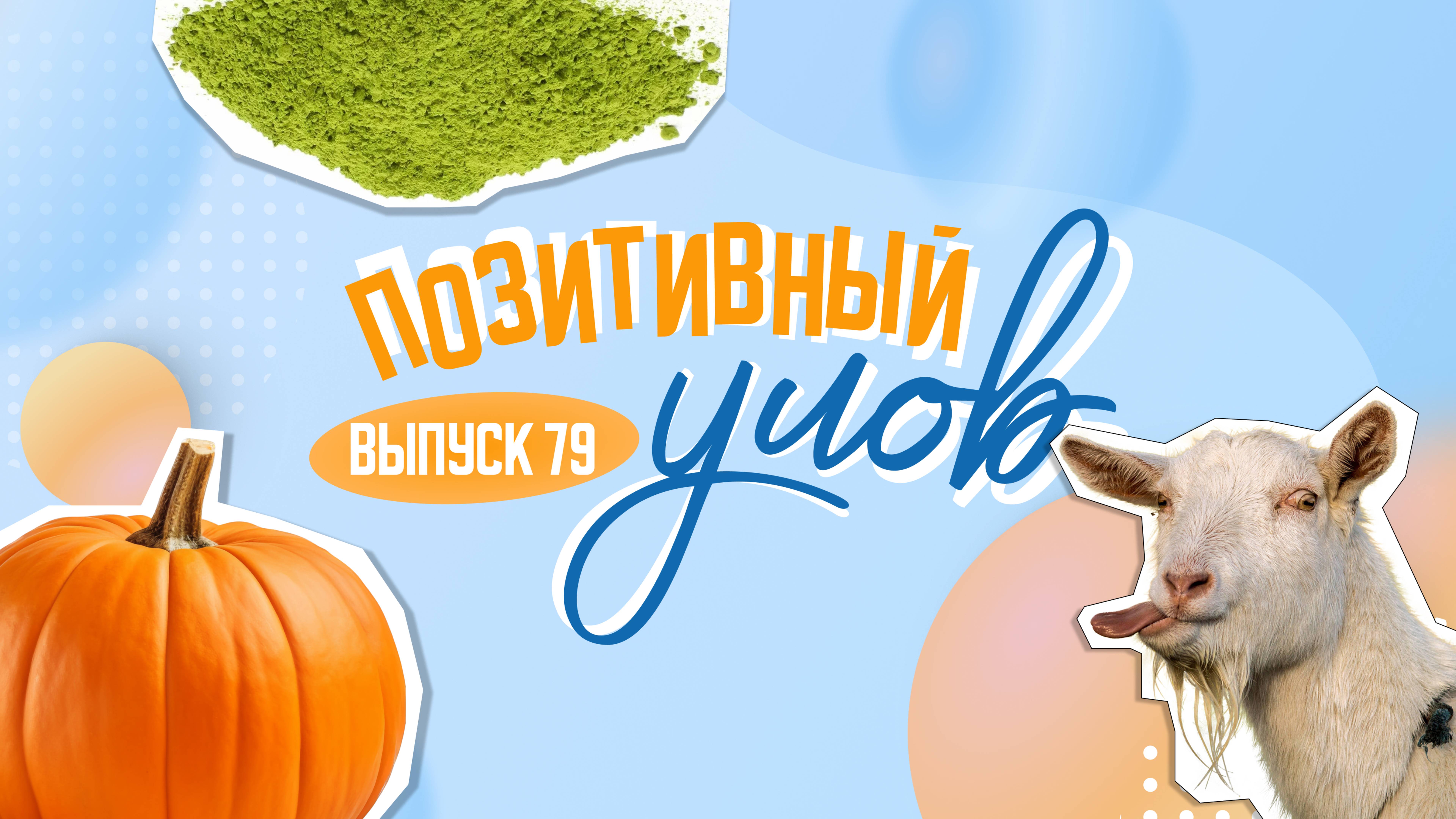 Транспорт будущего и чай на Луне. "Позитивный улов"