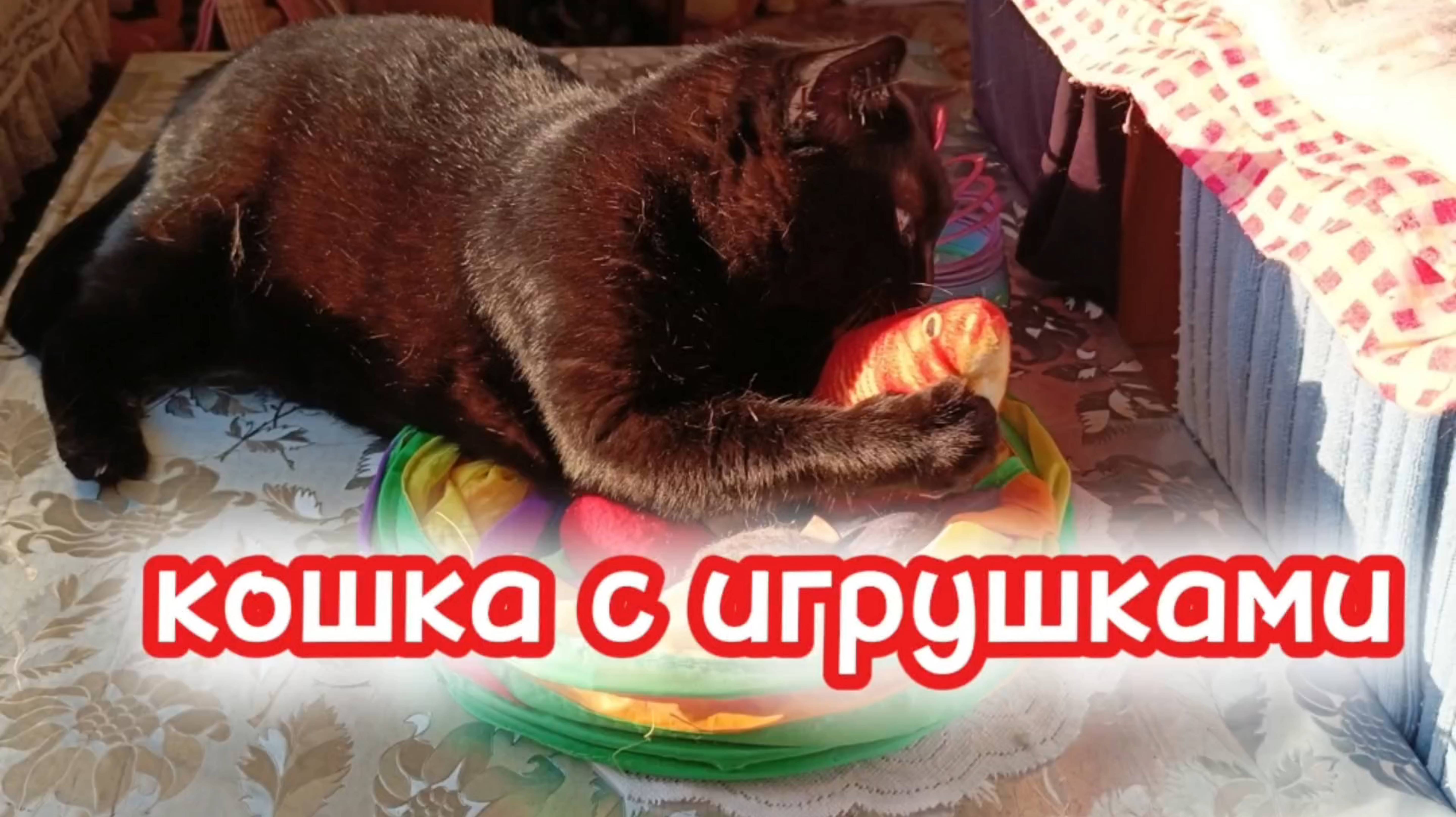 Кошка с игрушками.