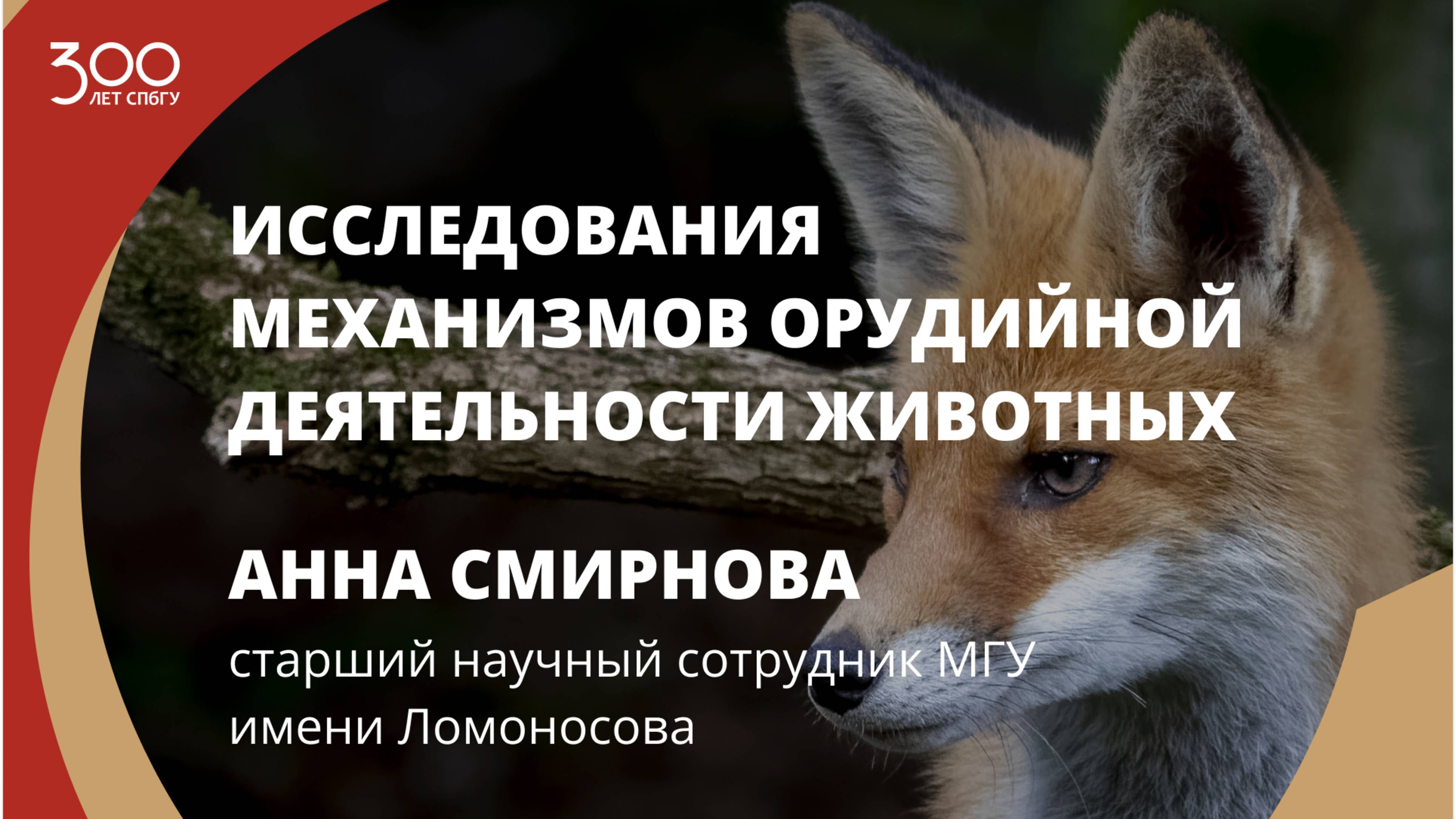 Анна Смирнова «Исследования механизмов орудийной деятельности животных»