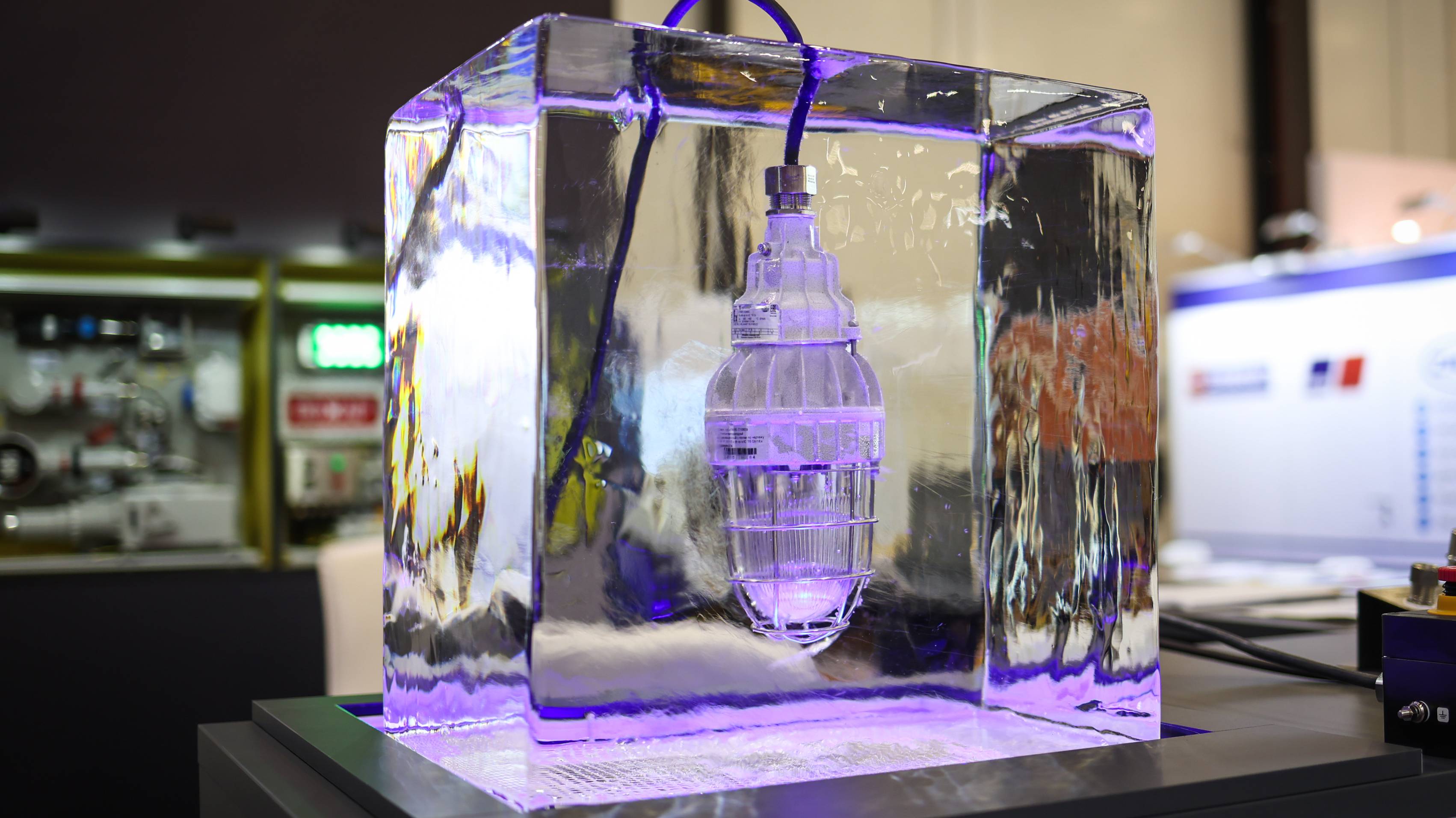 Выставка НЕВА 2025, Санкт-Петербург