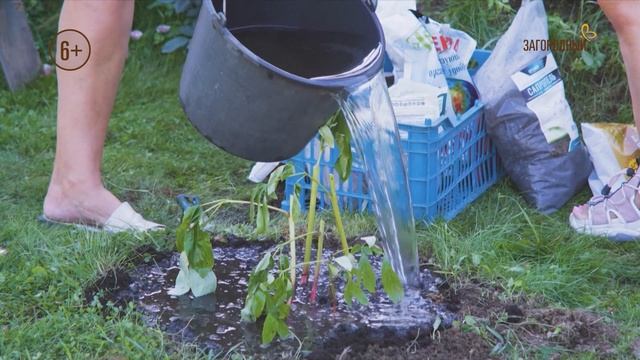 Огородные заботы. Осенние серии. Анонс. Канал Загородный