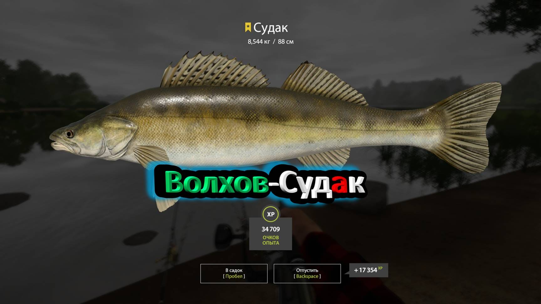 Русская рыбалка 4-Волхов-трофейный судак