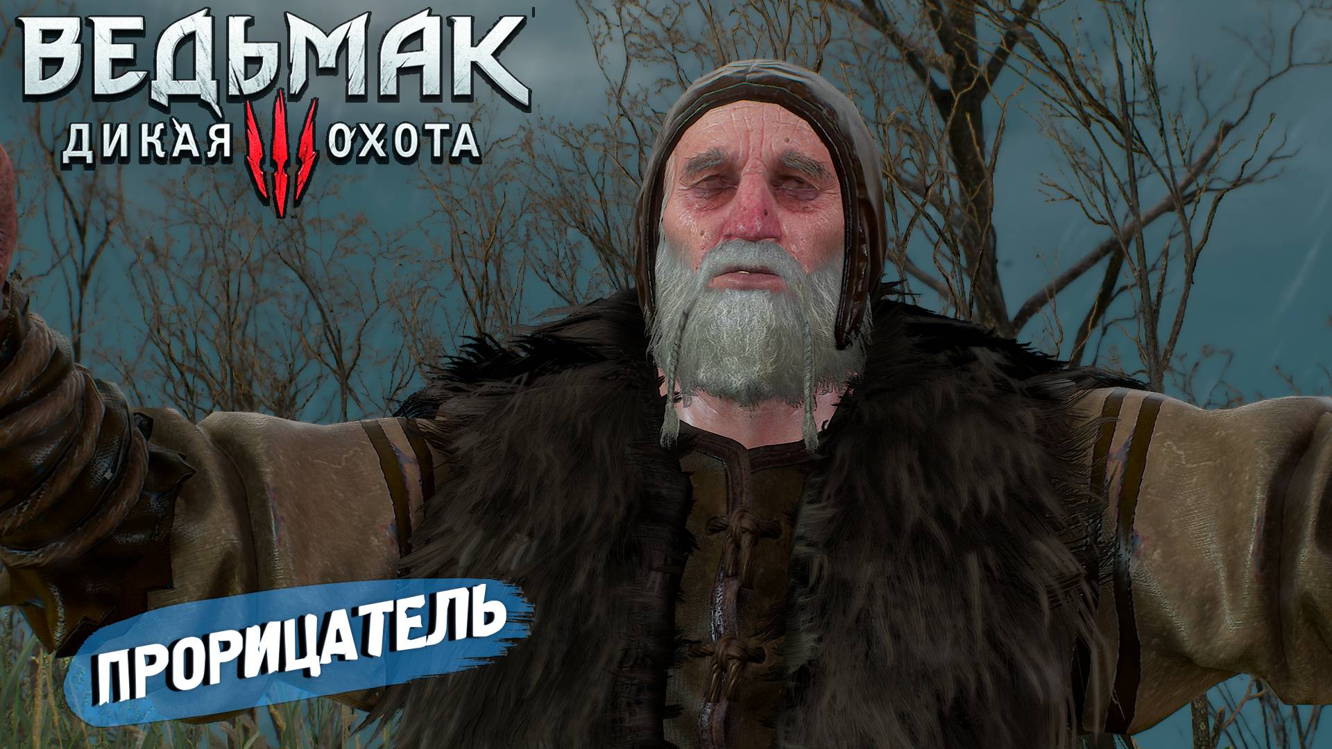 ПРОРИЦАТЕЛЬ ➤ Ведьмак 3 Дикая Охота #36