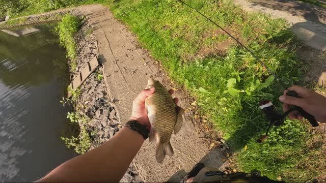 ЛЕТНИЙ БОНУСНЫЙ КАРАСЬ😎😎😎