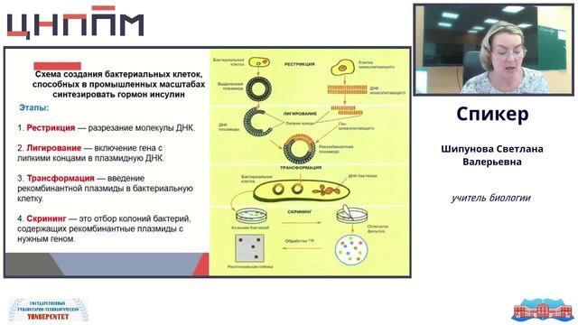 Генная инженерия как отрасль биотехнологии. Особенности изучения в средней школе.