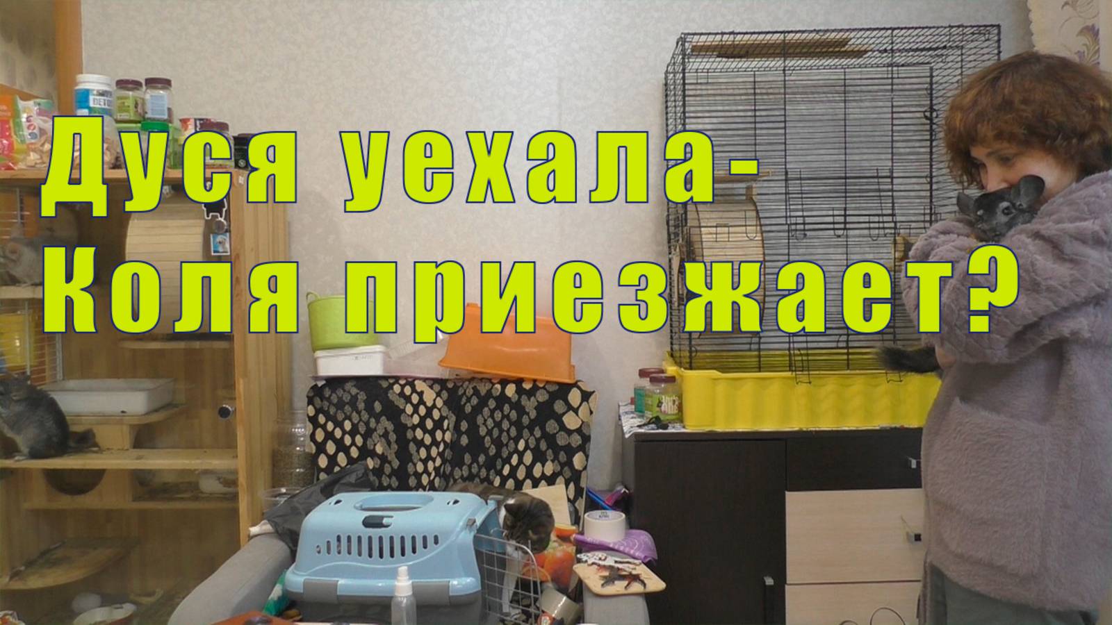 СЕЗОН ТЕАТРОВ ПОСЛЕ СЕЗОНА ГРИБОВ/ КОЛЯ СОБРАЛСЯ В МУРМАНСК  / 20 сентября 2025 г