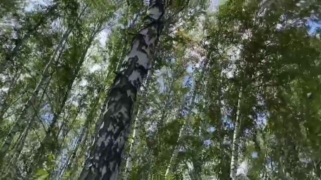 Участник регионального конкурса «Русский язык – сила в единстве»