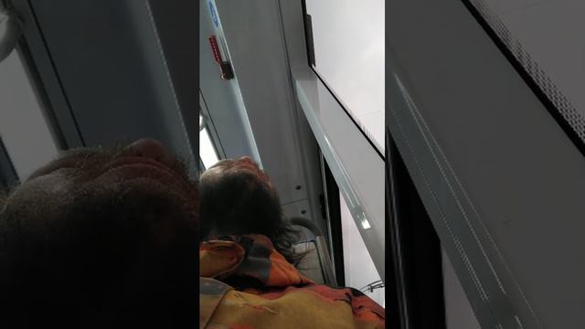 Поездки в общественном транспорте | 25-сен-2025, 3