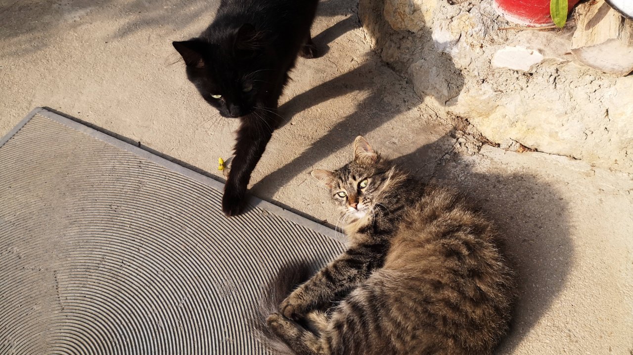 16 сентября 2023 г. Пгт. Орджоникидзе. Мои друзья #крым #орджо #орджоникидзе