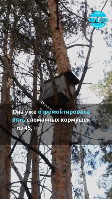 «Мама белочек» ищет помощников