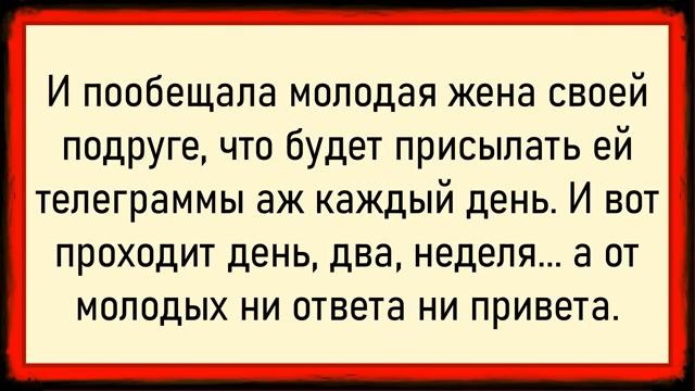 Как тёща обхитрила зятя! Сборник свежих анекдотов! Юмор