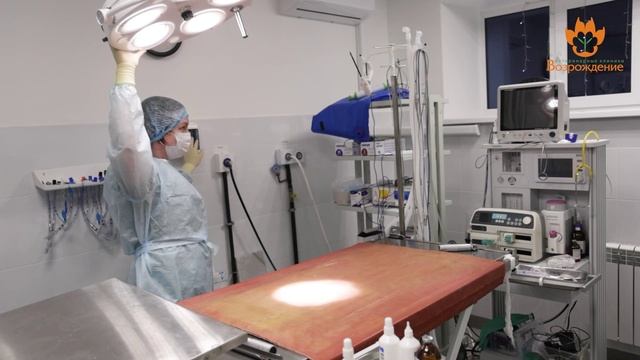 Видео-визитка специалиста ветеринарной клиники