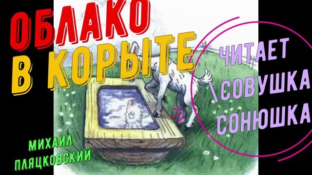 Михаил Пляцковский - Облако в корыте