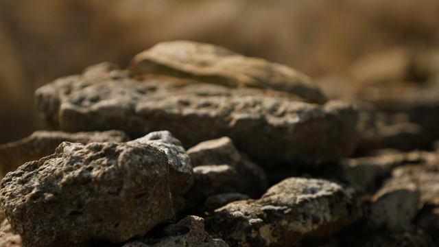 Ростов культурный. 25 сентября 2025