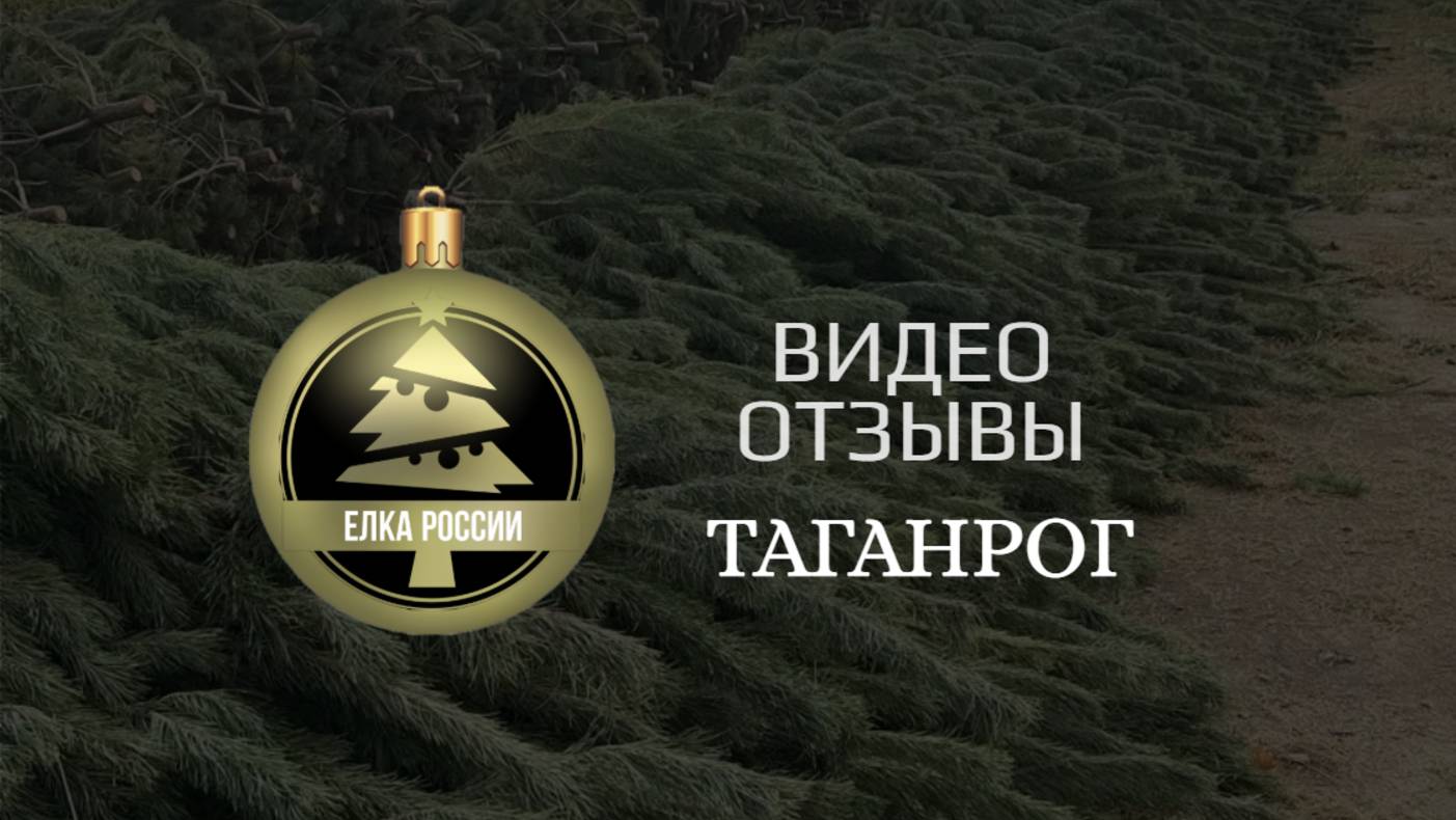 🎄Новогодняя Ёлка оптом | видеоотзыв ТАГАНРОГ