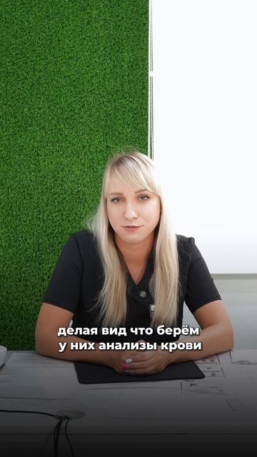 🐾 Встречайте доктора, который знает о здоровье питомцев всё!