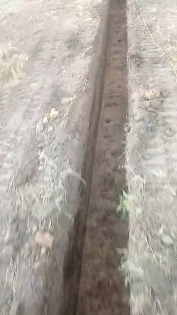 Работа гусеничного мини экскаватора #арендаминиэкскаваторавворонеже