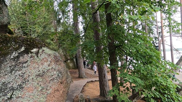 ПАРК В ВЫБОРГЕ .   2025    часть 3