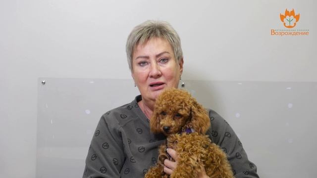 Видео-отзыв о ветеринарной клинике