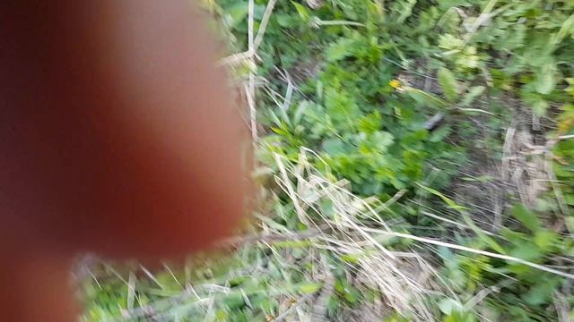 Начал отсыпать участок