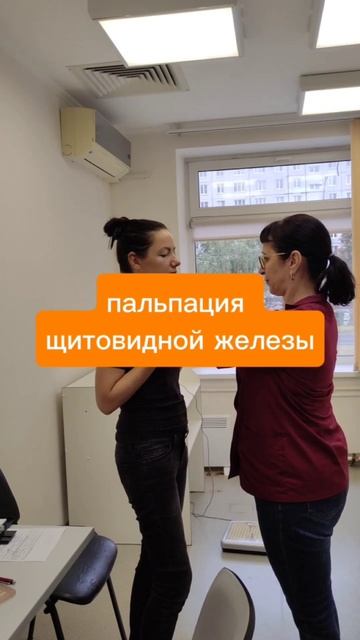 Прием эндокринолога в Медгарде Тольятти: пальпация, направление на  УЗИ щитовидной железы тольятти