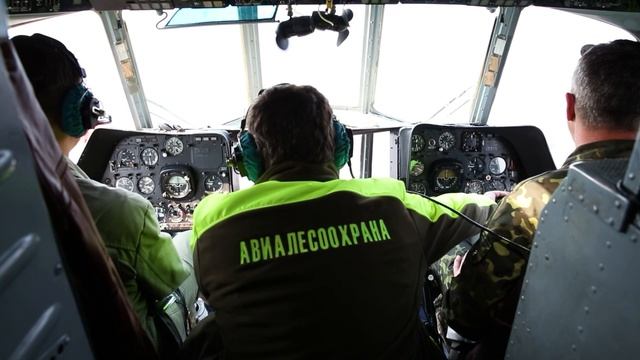 О сбережении лесных ресурсов России