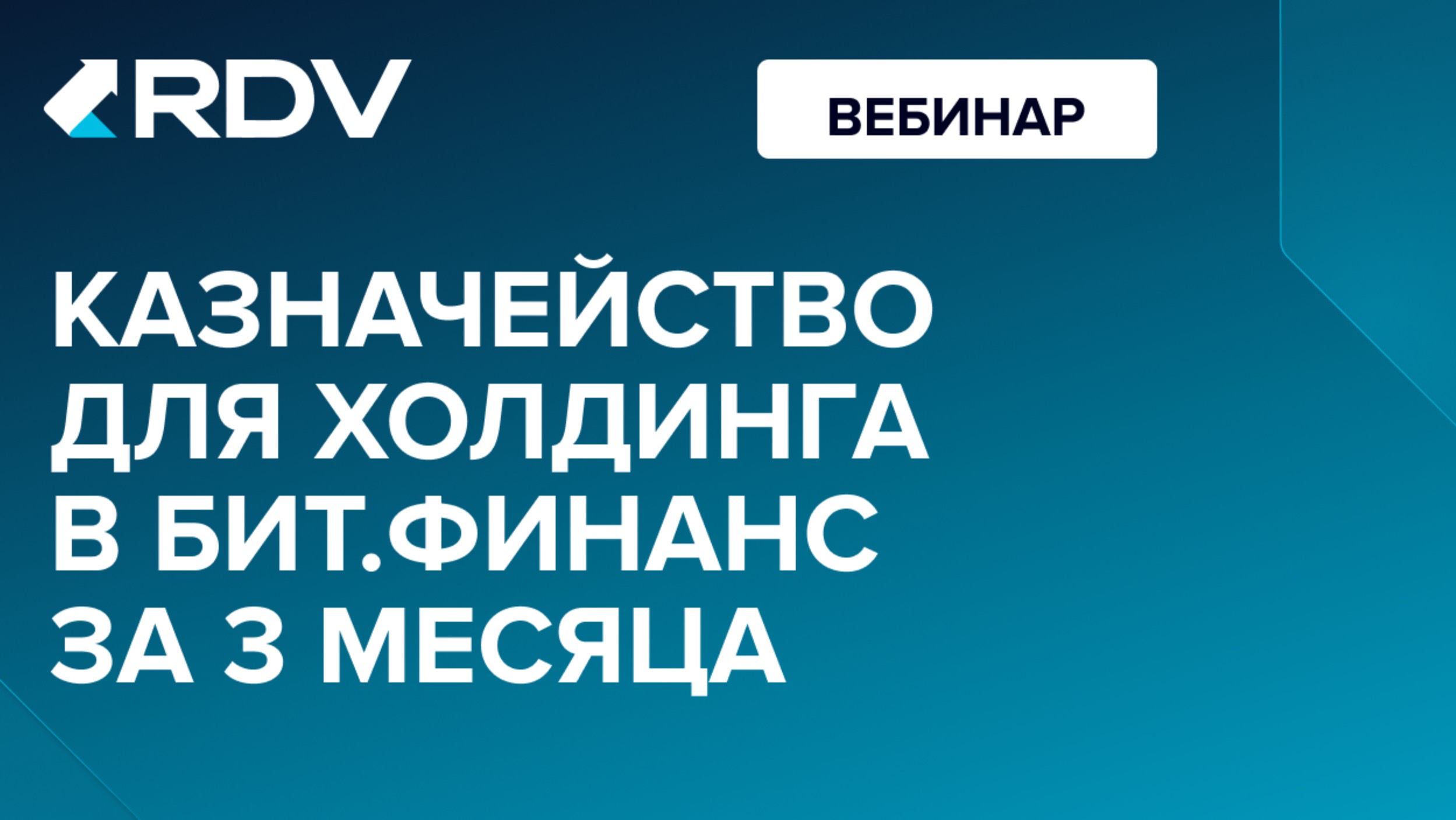 Казначейство для холдинга в БИТ.Финанс за 3 месяца